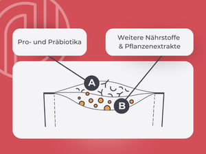 MedibiotiX Lipo: Den Stoffwechsel anregen | ENTDECKE DEIN NEO